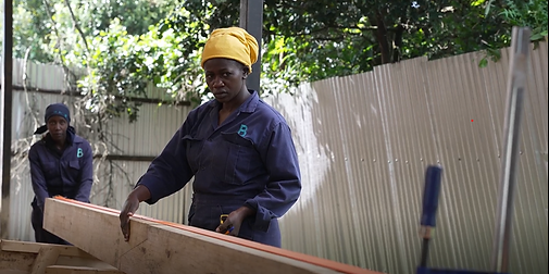 Our Work | Climate Smart Forest Economy Program